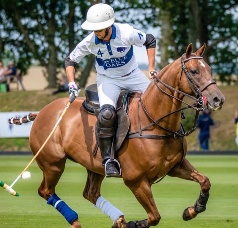 Polo Season Prep: Your Essential Tack Check Guide – Ainsley Saddlery
