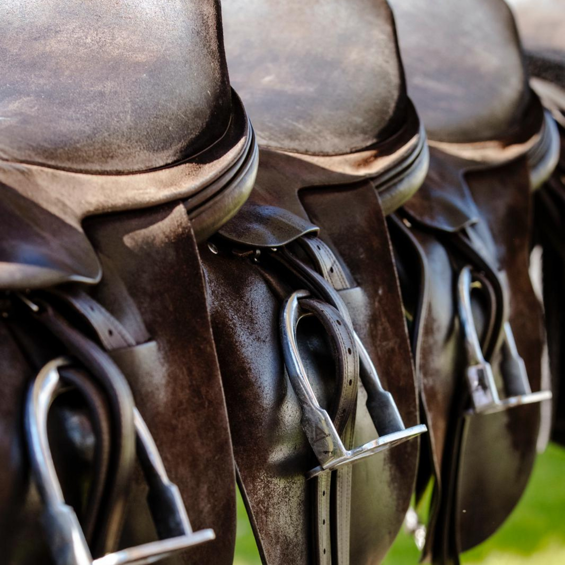 Ainsley Saddlery | Polo Saddles & Polo Bridles | Polo Player Equipment