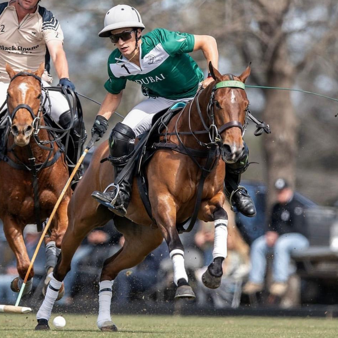 Ainsley Saddlery | Polo Saddles & Polo Bridles | Polo Player Equipment